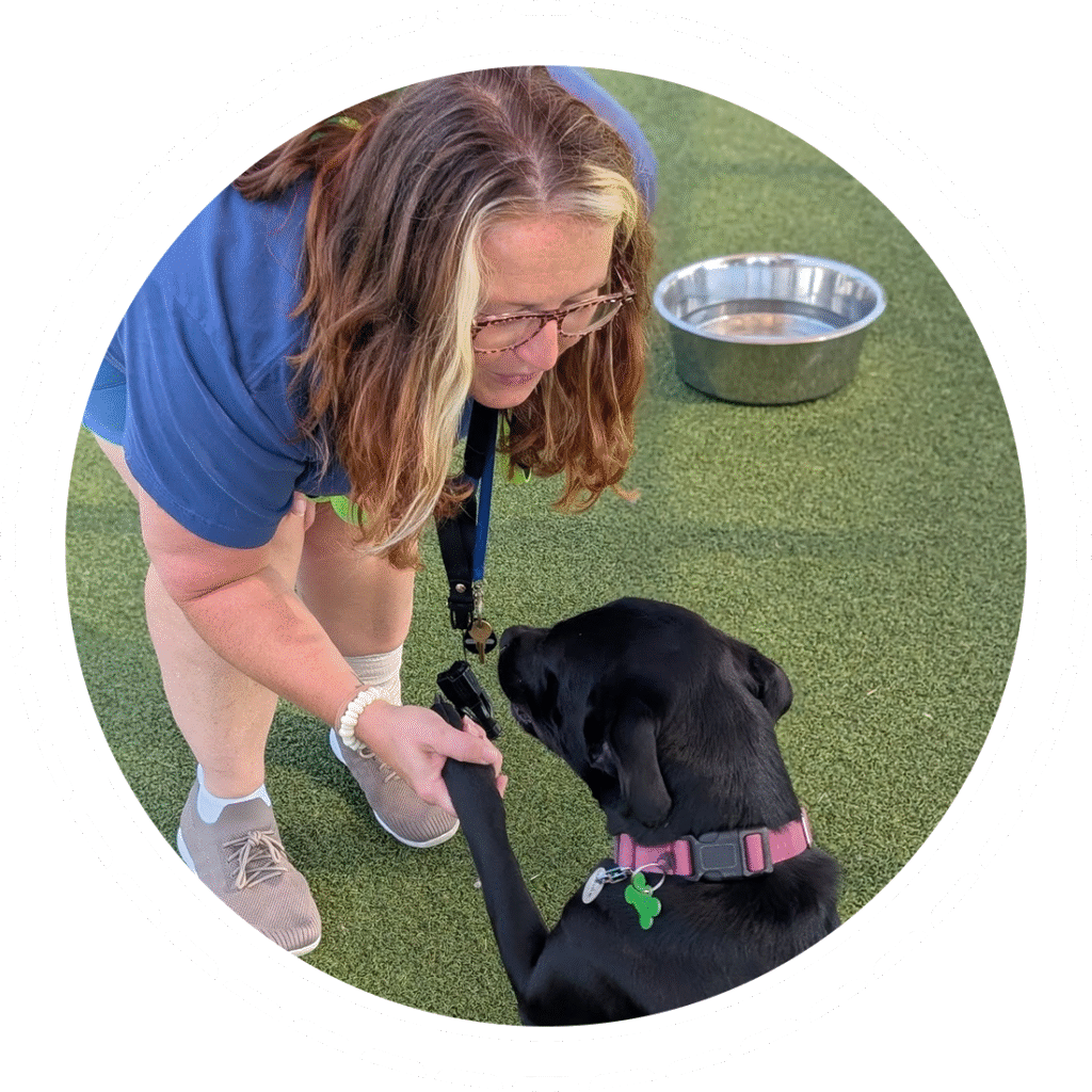 Adopt – Helping Hounds Dog Rescue