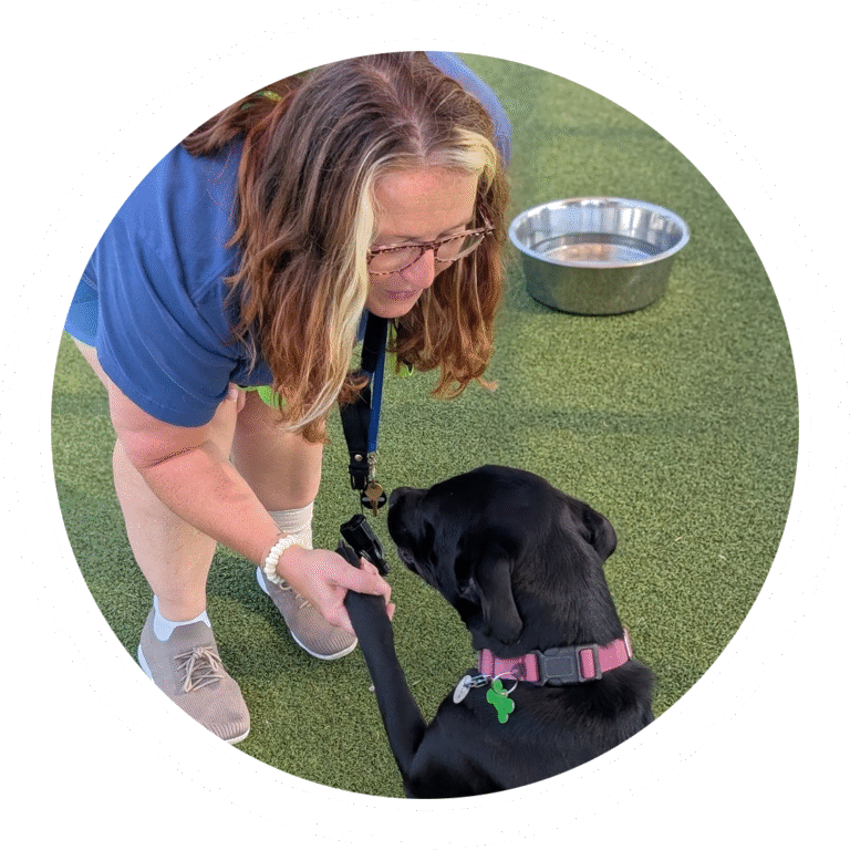 Adopt – Helping Hounds Dog Rescue